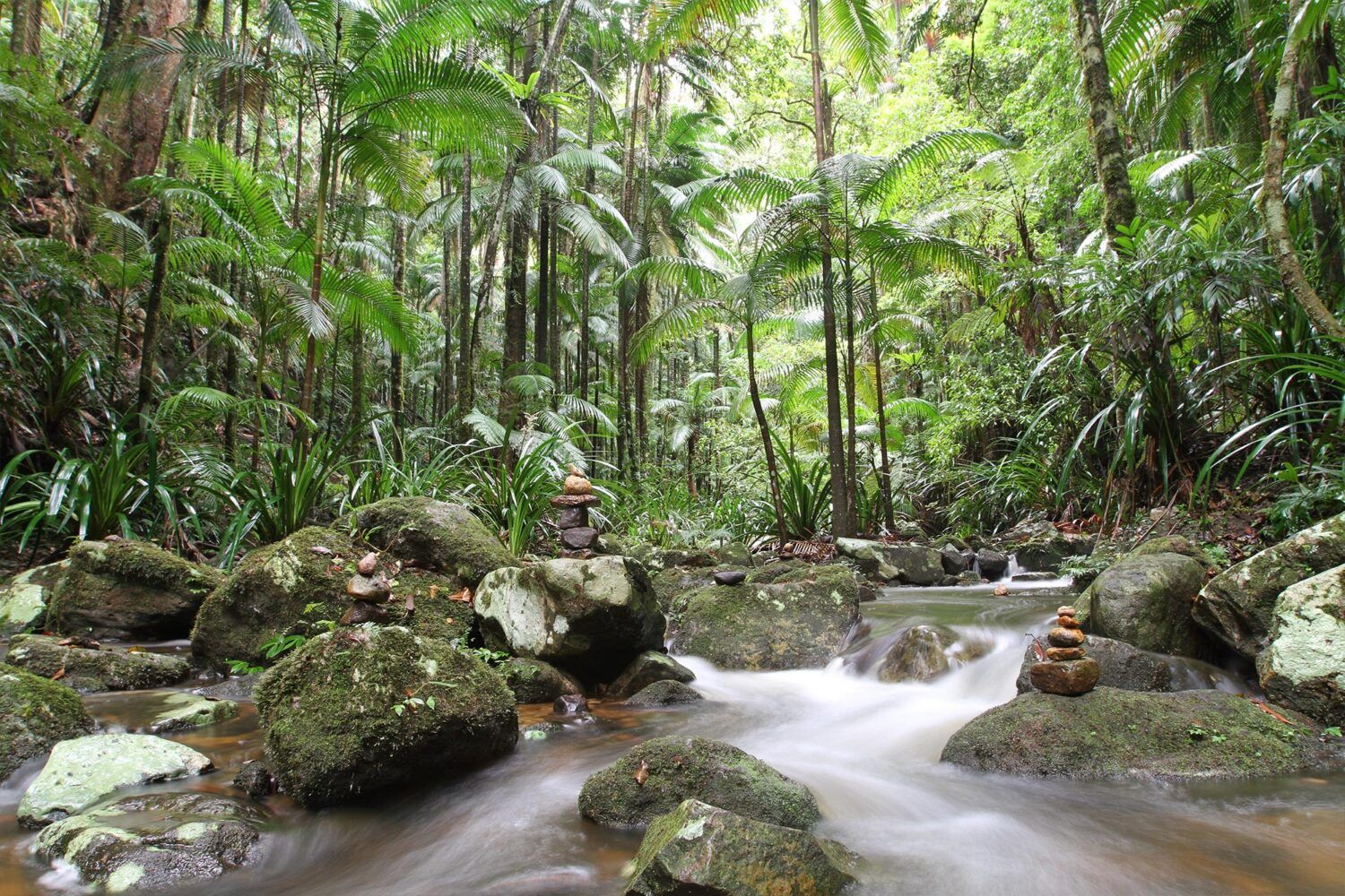 5 Most Popular Road Trips From Ballina - Grandview Ballina